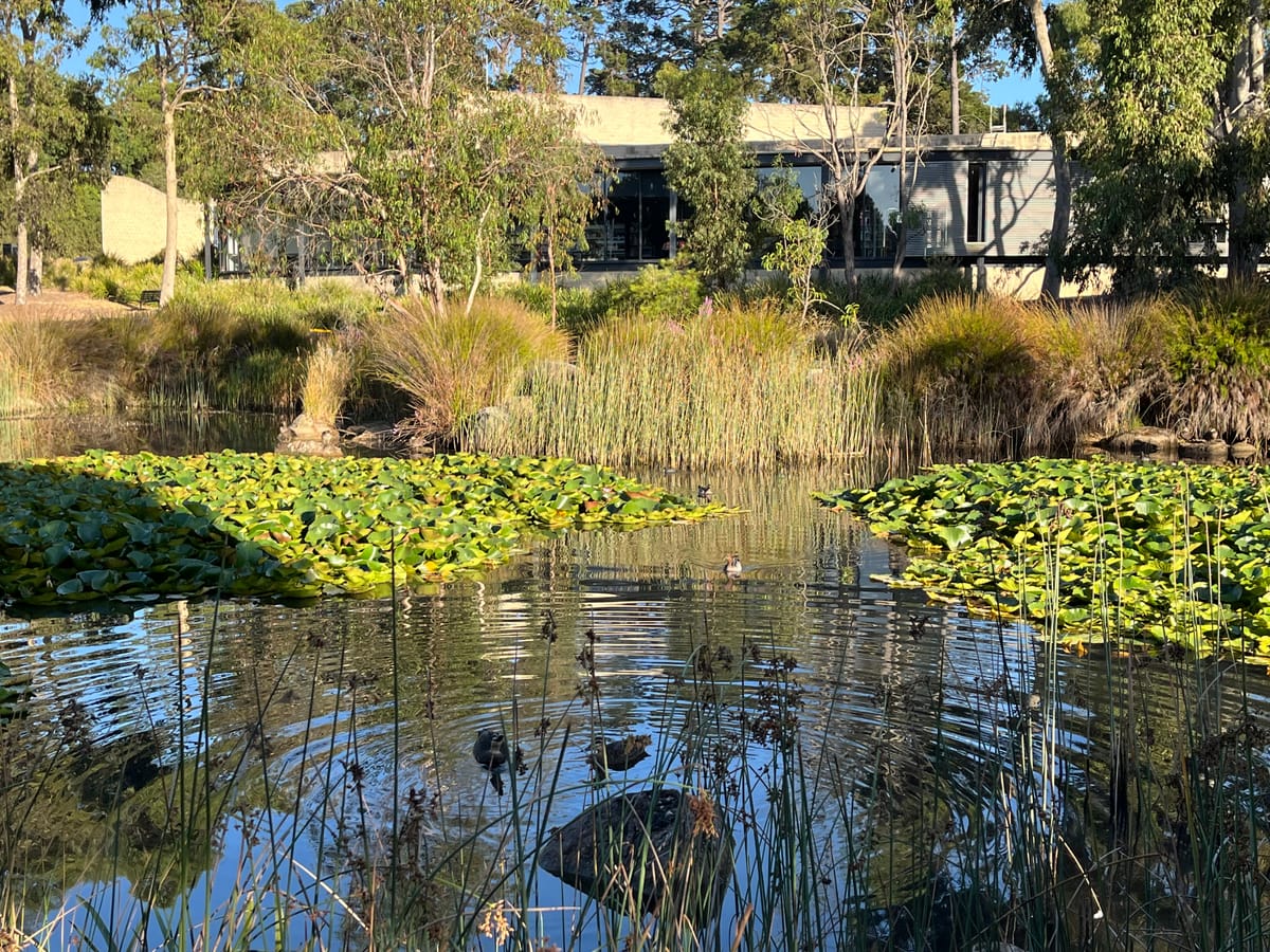 Anne Newman - AnArt4Life