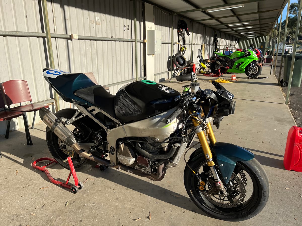 Anne Newman - AnArt4Life