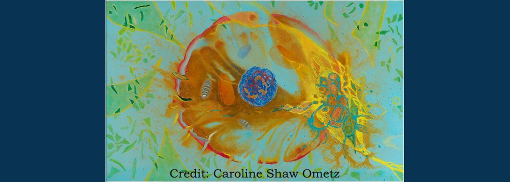 Anne Newman - AnArt4Life