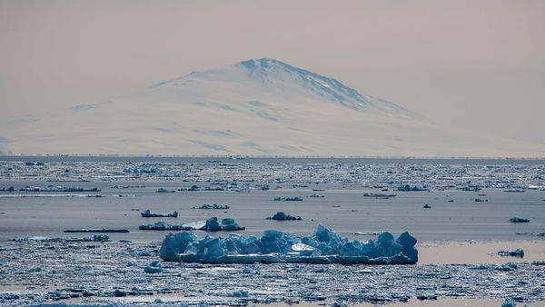 Mount Melbourne Majestic